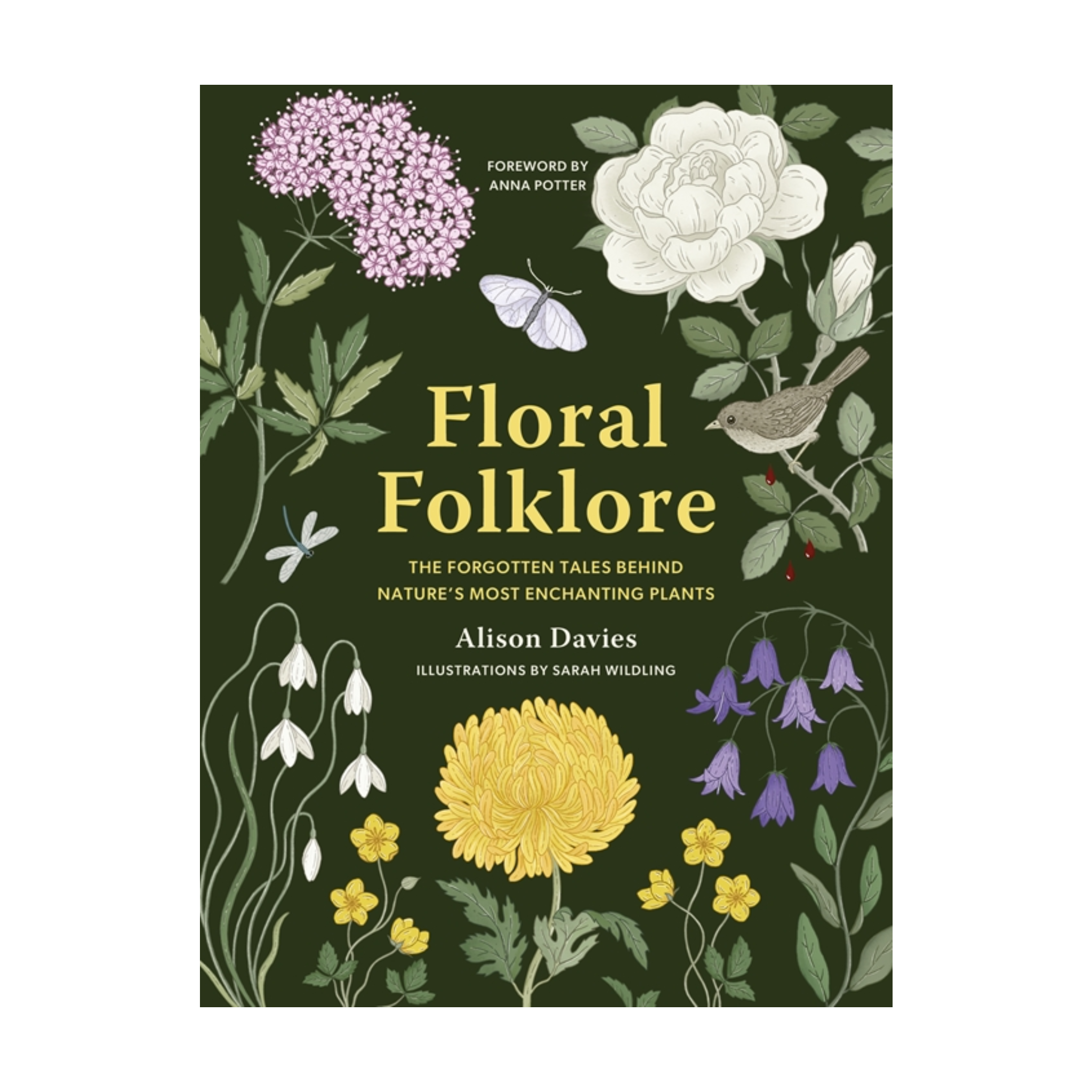Floral Folklore – Leeds Museums and Galleries Shop